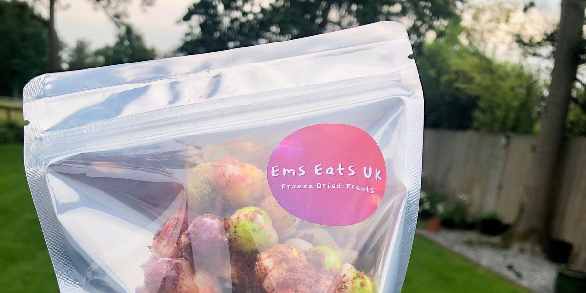 UK Freeze Dried Round Chamoy and Tajin Fruit Balls – Emily's Eats